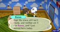 Bones/Gallery | Animal Crossing Wiki | Fandom