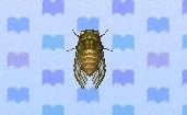 Evening cicada | Animal Crossing Wiki | Fandom