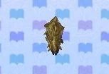 Bagworm | Animal Crossing Wiki | Fandom