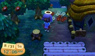 Special stump patterns | Animal Crossing Wiki | Fandom