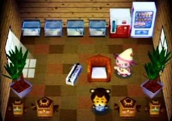 Poko | Animal Crossing Wiki | Fandom