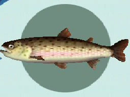 Stringfish | Animal Crossing City Wiki | Fandom