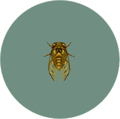 Walker cicada/Gallery | Animal Crossing Wiki | Fandom