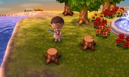 Special stump patterns | Animal Crossing Wiki | Fandom