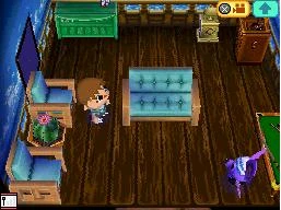 Rodi | Animal Crossing Enciclopedia | Fandom
