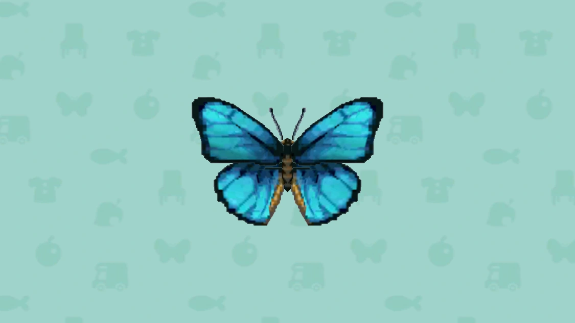 Emperor butterfly/Gallery | Animal Crossing Wiki | Fandom