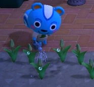Filbert/Gallery | Animal Crossing Wiki | Fandom