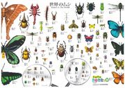 Bug | Animal Crossing Wiki | Fandom