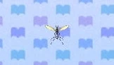 Mosquito/Gallery | Animal Crossing Wiki | Fandom