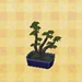 Plante d'intérieur | Animal Crossing Wiki | Fandom