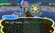 Nicknames | Animal Crossing Wiki | Fandom
