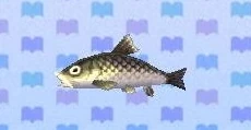 Barbel steed | Animal Crossing Wiki | Fandom