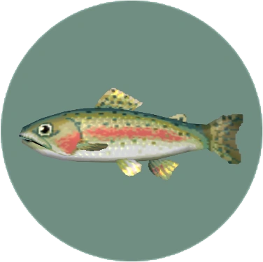 Rainbow trout | Animal Crossing Wiki | Fandom