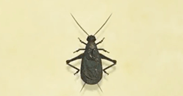 Bell cricket | Animal Crossing Wiki | Fandom