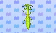 Mantis/Gallery | Animal Crossing Wiki | Fandom