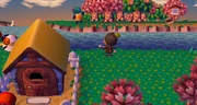 Friendship | Animal Crossing Wiki | Fandom