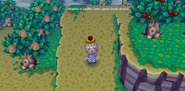 Ramp | Animal Crossing Wiki | Fandom