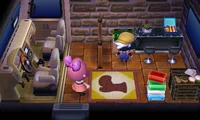 Kicks/Gallery | Animal Crossing Wiki | Fandom