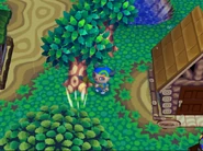 Glowing spot | Animal Crossing Wiki | Fandom