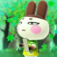 Kali | Animal Crossing Wiki | Fandom