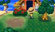 Bushes | Animal Crossing Wiki | Fandom
