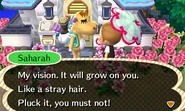 Saharah/Gallery | Animal Crossing Wiki | Fandom