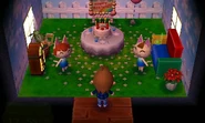 Felicity/Gallery | Animal Crossing Wiki | Fandom