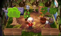 Chuck | Animal Crossing Wiki | Fandom