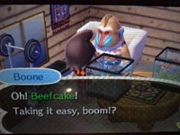 Boone/Gallery | Animal Crossing Wiki | Fandom