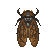 Brown cicada | Animal Crossing Wiki | Fandom