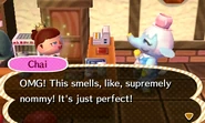 Chai/Gallery | Animal Crossing Wiki | Fandom