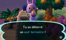 Albin | Animal Crossing Wiki | Fandom