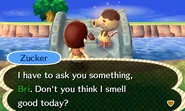 Zucker/Gallery | Animal Crossing Wiki | Fandom