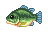 Black bass/Gallery | Animal Crossing Wiki | Fandom