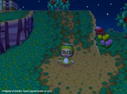 Ramp | Animal Crossing Wiki | Fandom