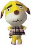 Frett/Gallery | Animal Crossing Wiki | Fandom