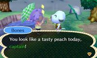 Bones/Gallery | Animal Crossing Wiki | Fandom