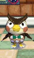 Blathers/Gallery | Animal Crossing Wiki | Fandom