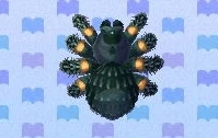 User blog:Madison654/Tarantula | Animal Crossing Wiki | Fandom
