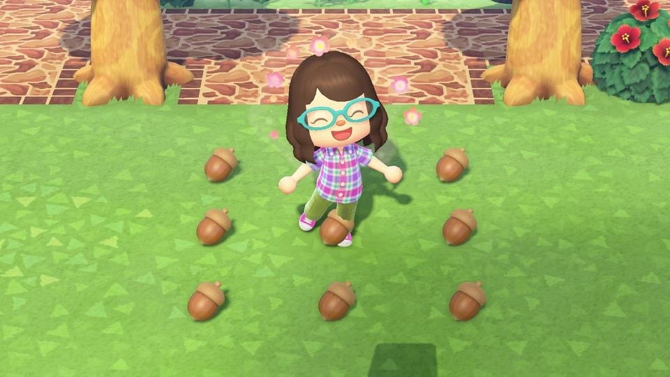 Acorn | Animal Crossing Wiki | Fandom