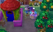 Pietro/Gallery | Animal Crossing Wiki | Fandom