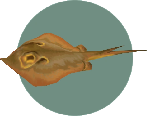 Ray/Gallery | Animal Crossing Wiki | Fandom