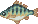 Yellow perch | Animal Crossing Wiki | Fandom