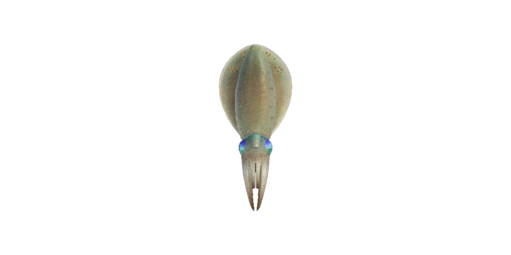 Calmar | Animal Crossing Wiki | Fandom