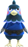 Pollo | Animal Crossing Wiki | Fandom
