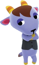 Kidd/Gallery | Animal Crossing Wiki | Fandom