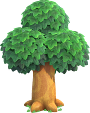 Tree | Animal Crossing Wiki | Fandom