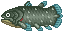Coelacanth/Gallery | Animal Crossing Wiki | Fandom