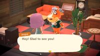 Angus/Gallery | Animal Crossing Wiki | Fandom