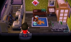 Campground | Animal Crossing Wiki | Fandom